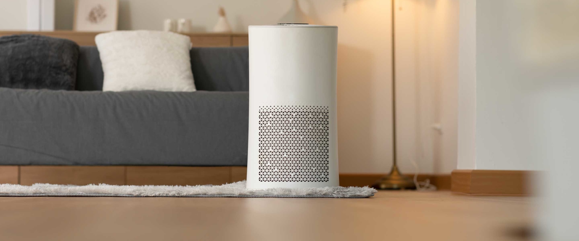 The Benefits and Risks of Negative Air Ionizers